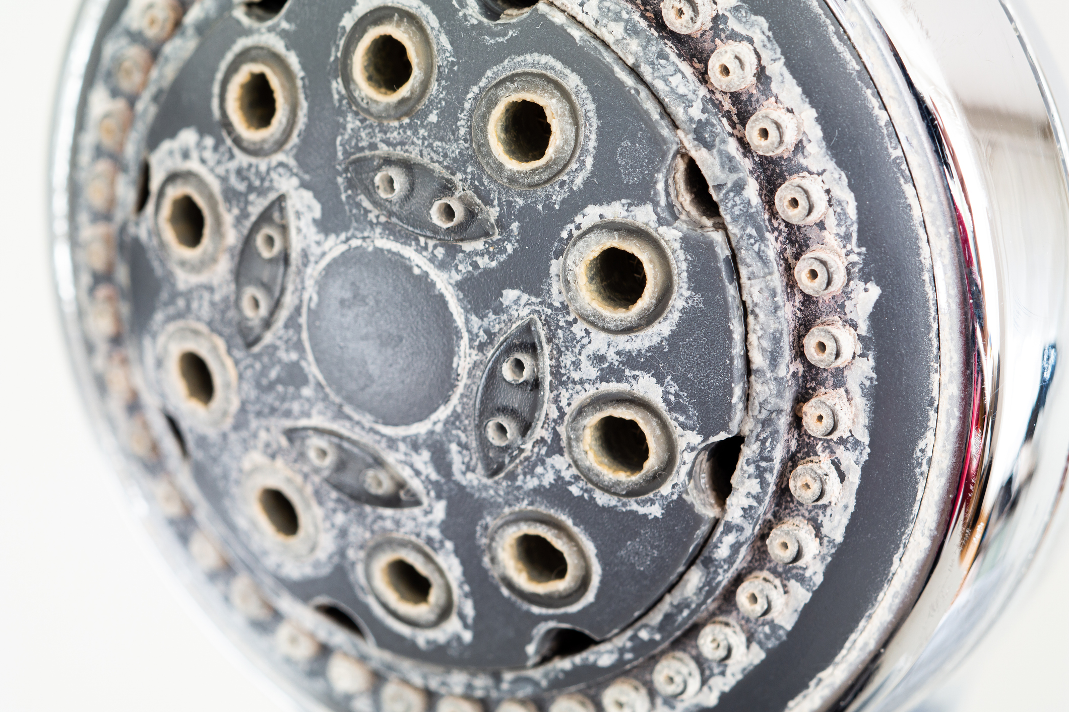 Just Plumbing: Your Trusted Eastern Virginia Plumbing Experts